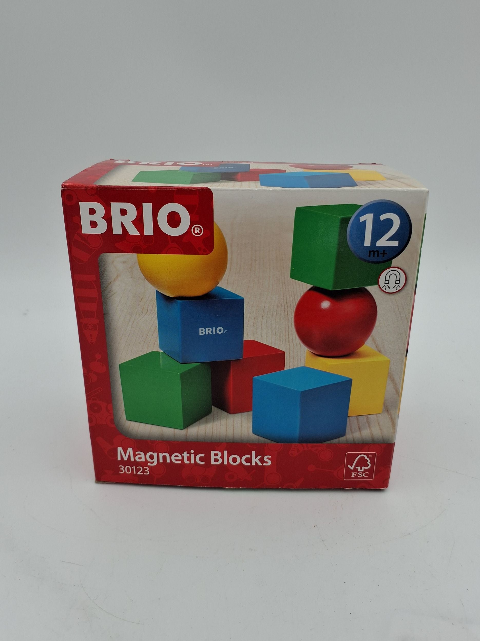 Brio Magnetic Blocks