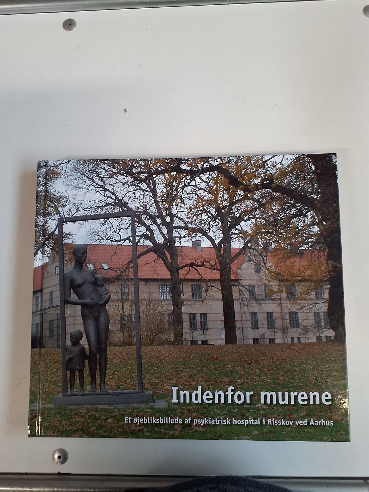 Indenfor murene